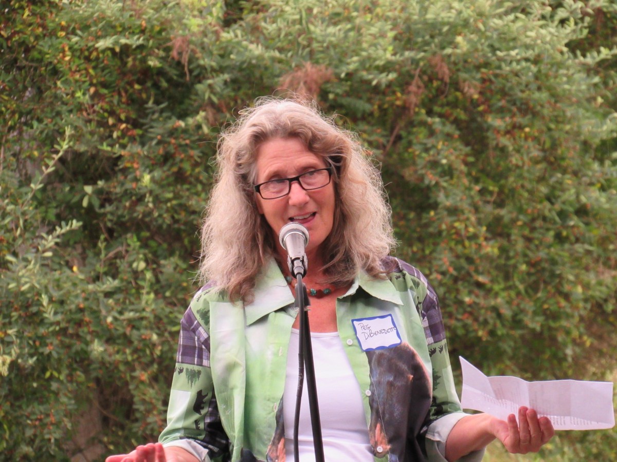 Press – Wild Life Stories